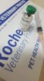 Vaccinations – Rochy Vet